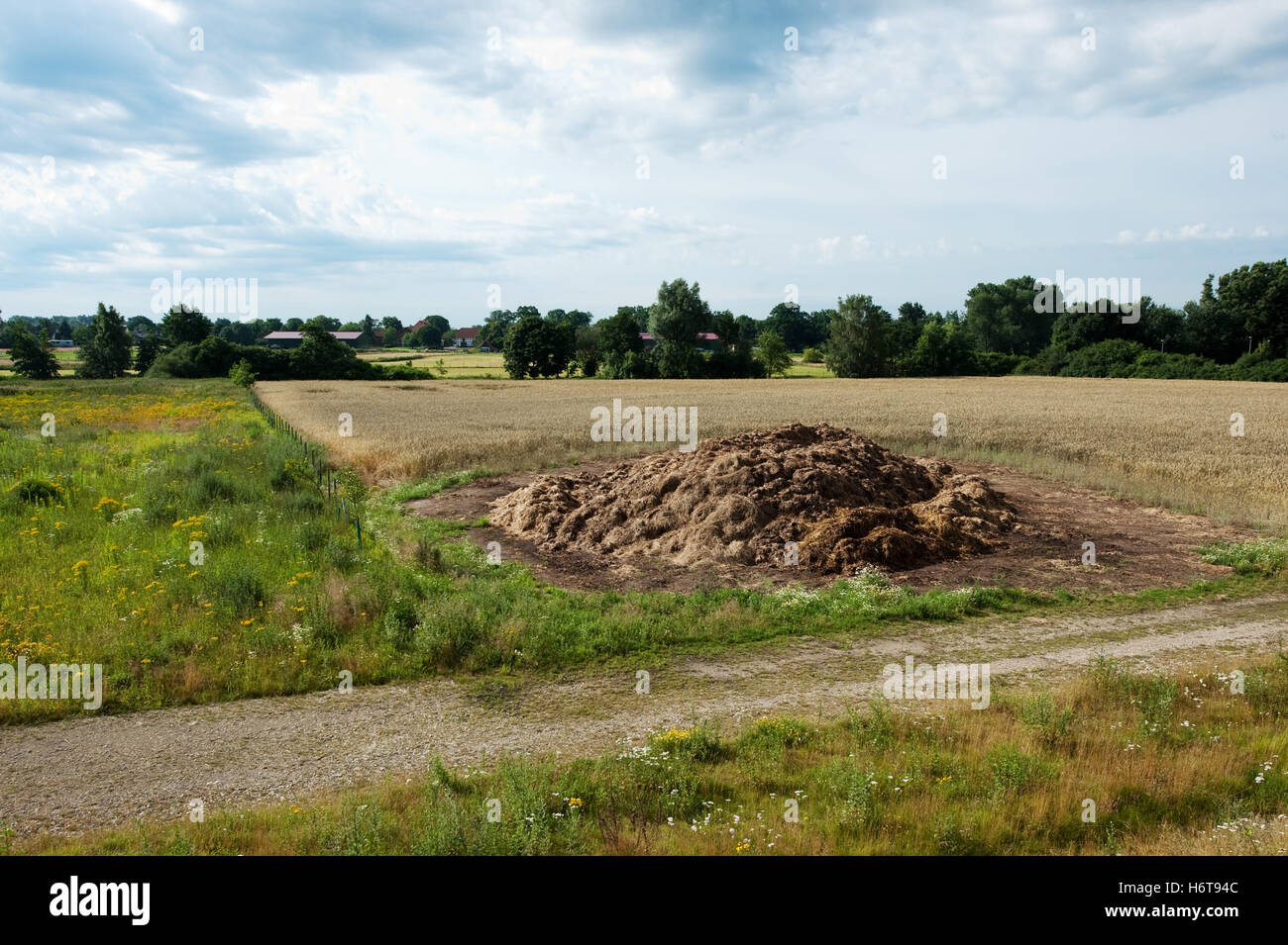bucolic, fields, acre, corn field, dunghill, scenery, countryside ...