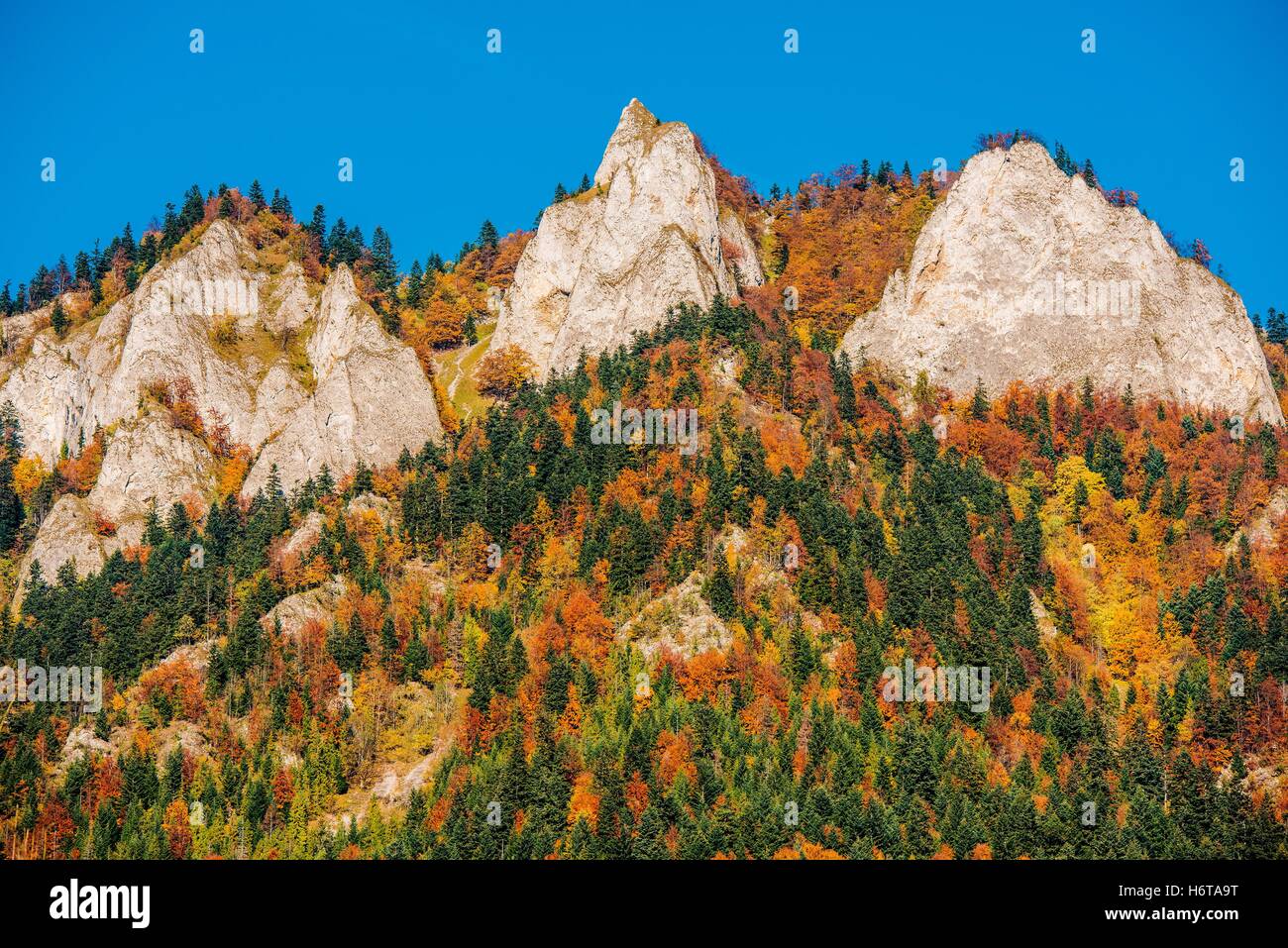 Summit of Three Crowns in Malopolska Region, Poland. Fall Foliage in ...