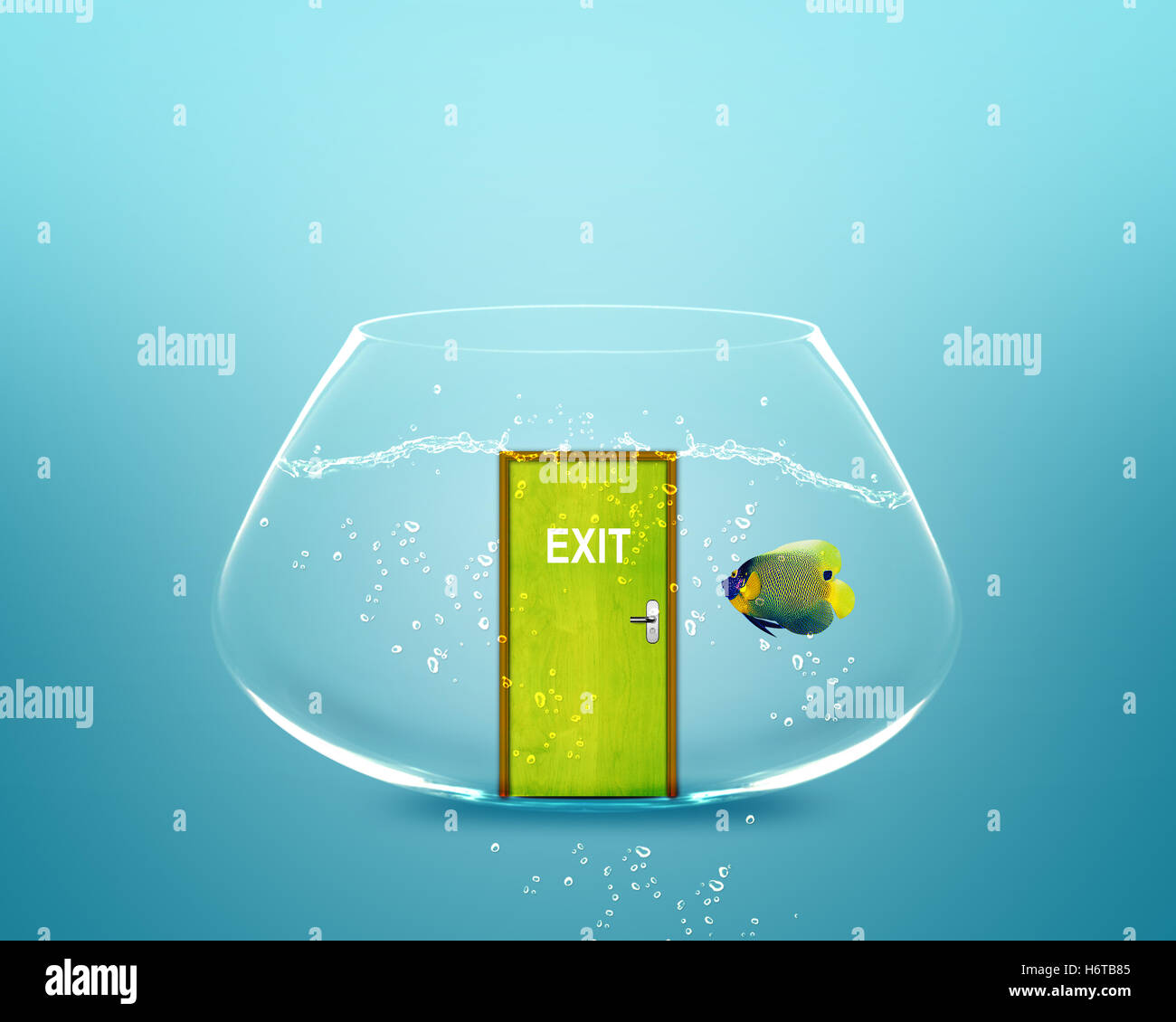 Edit graphics hi-res stock photography and images - Alamy