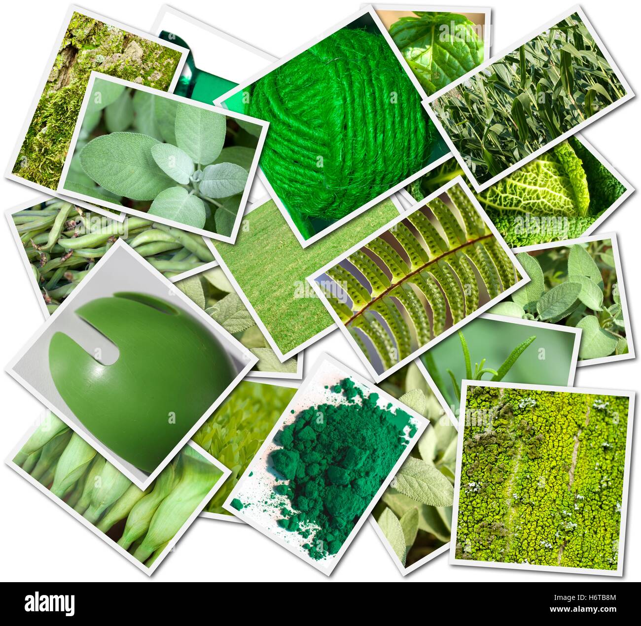 object colour collage photos postcards color images montage assemblage ...