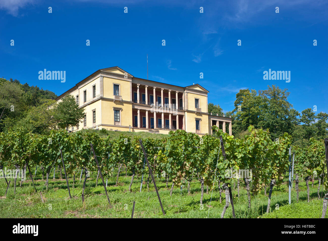 historical vineyards europe cultivation of wine vineyard germany german ...