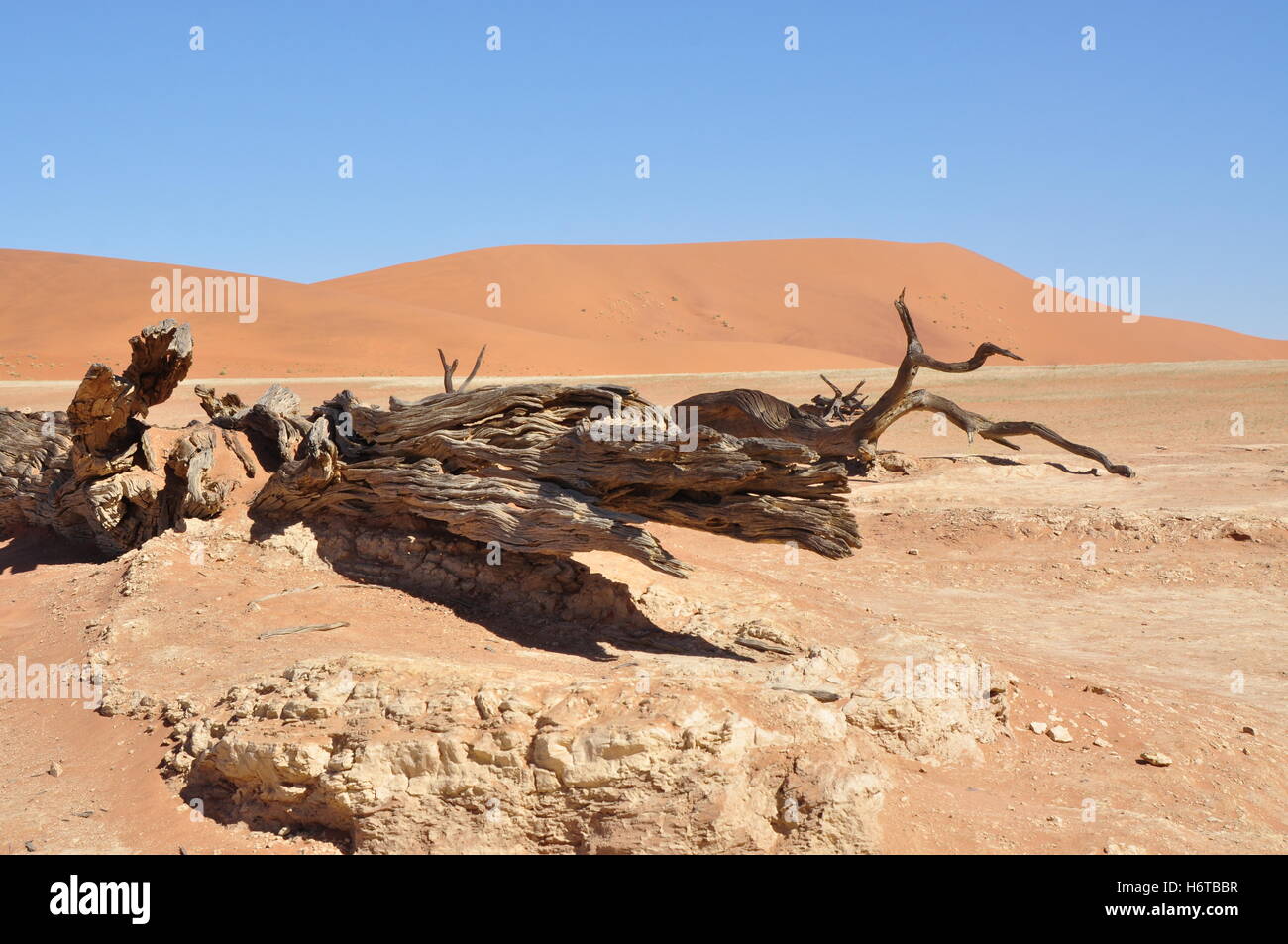 Namibia landscape hi-res stock photography and images - Alamy