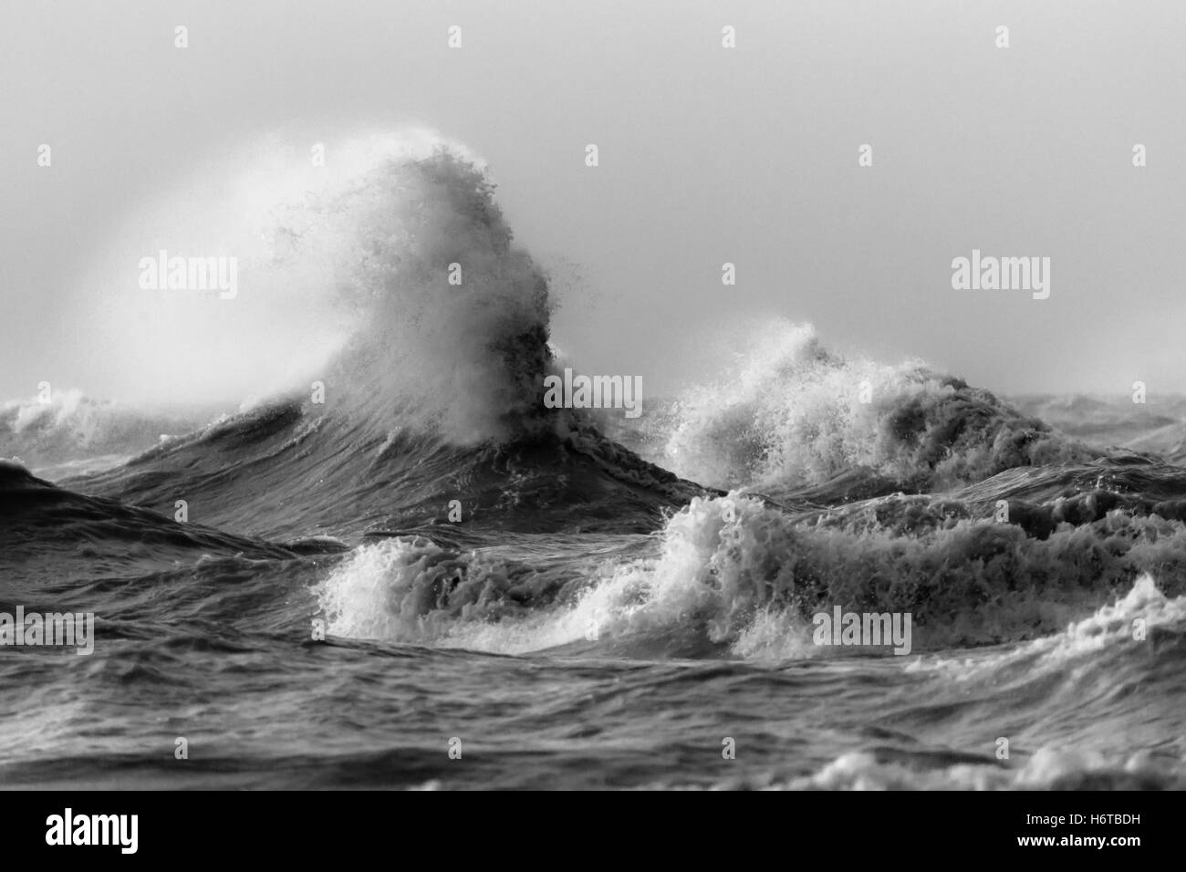 Spray calendar Black and White Stock Photos & Images - Alamy
