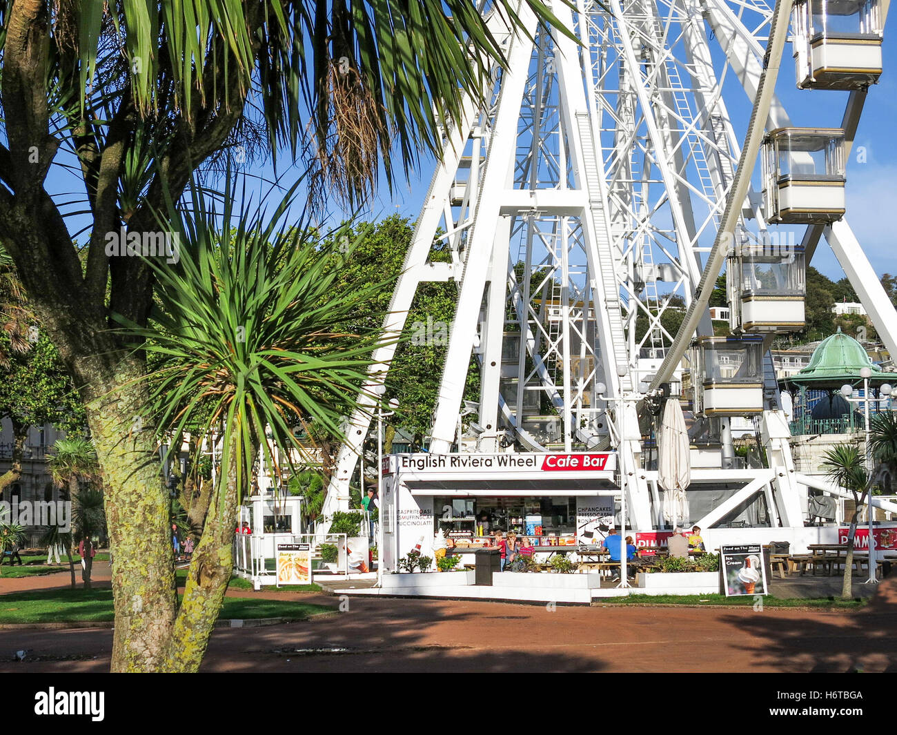 Torbay palm tree hi-res stock photography and images - Alamy