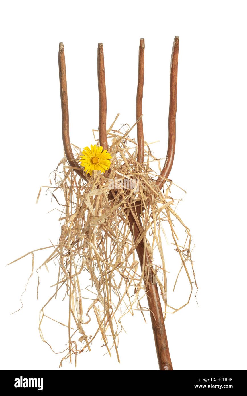 Fork straw hi-res stock photography and images - Alamy