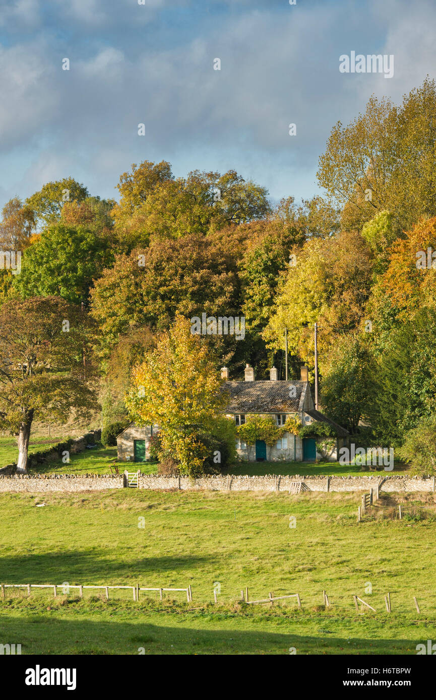 House surrounded by trees uk hi-res stock photography and images - Alamy
