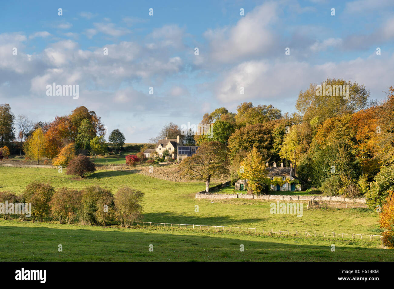 Cottage surrounded by trees hi-res stock photography and images - Alamy