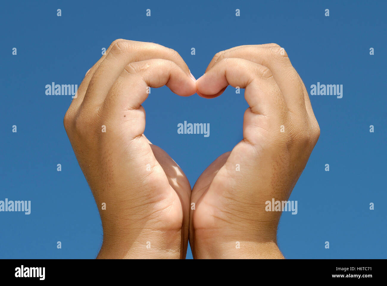 hand hands friendship ring handshake successful succesful strong human ...