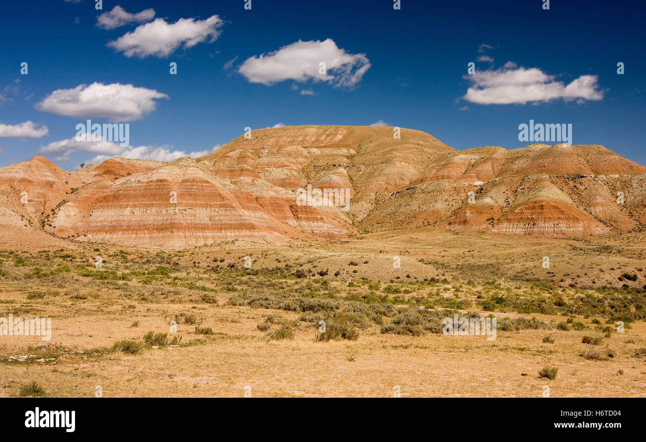 Texas desert landscapes hi-res stock photography and images - Alamy
