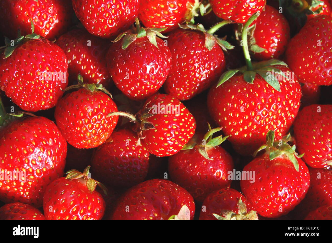 soft spring bouncing bounces hop skipping frisks jumping jump fruit ...