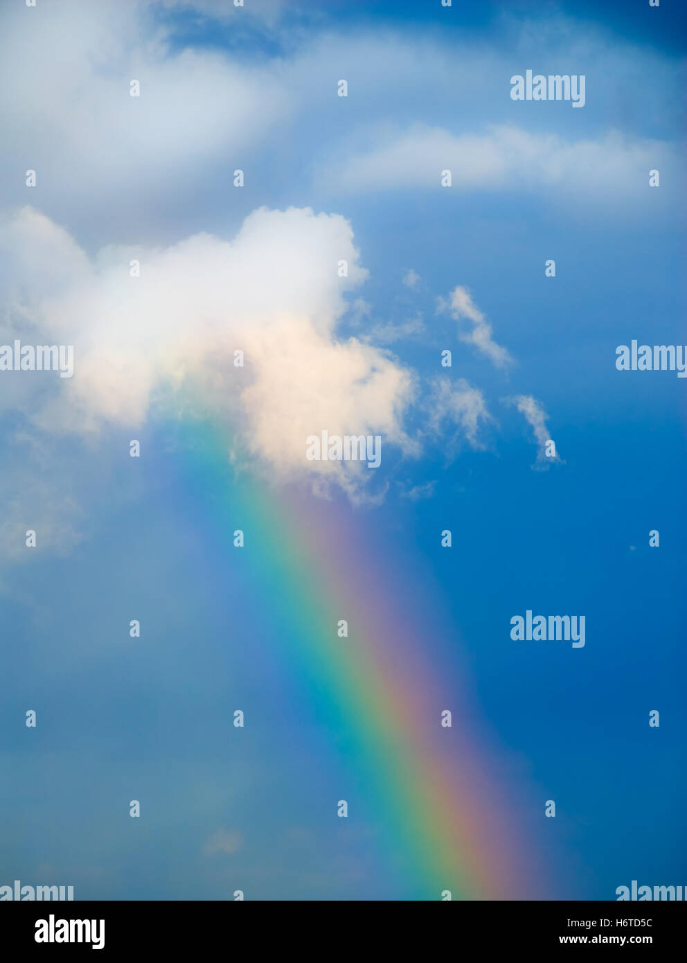 Lucky colours lucky colors hi-res stock photography and images - Alamy