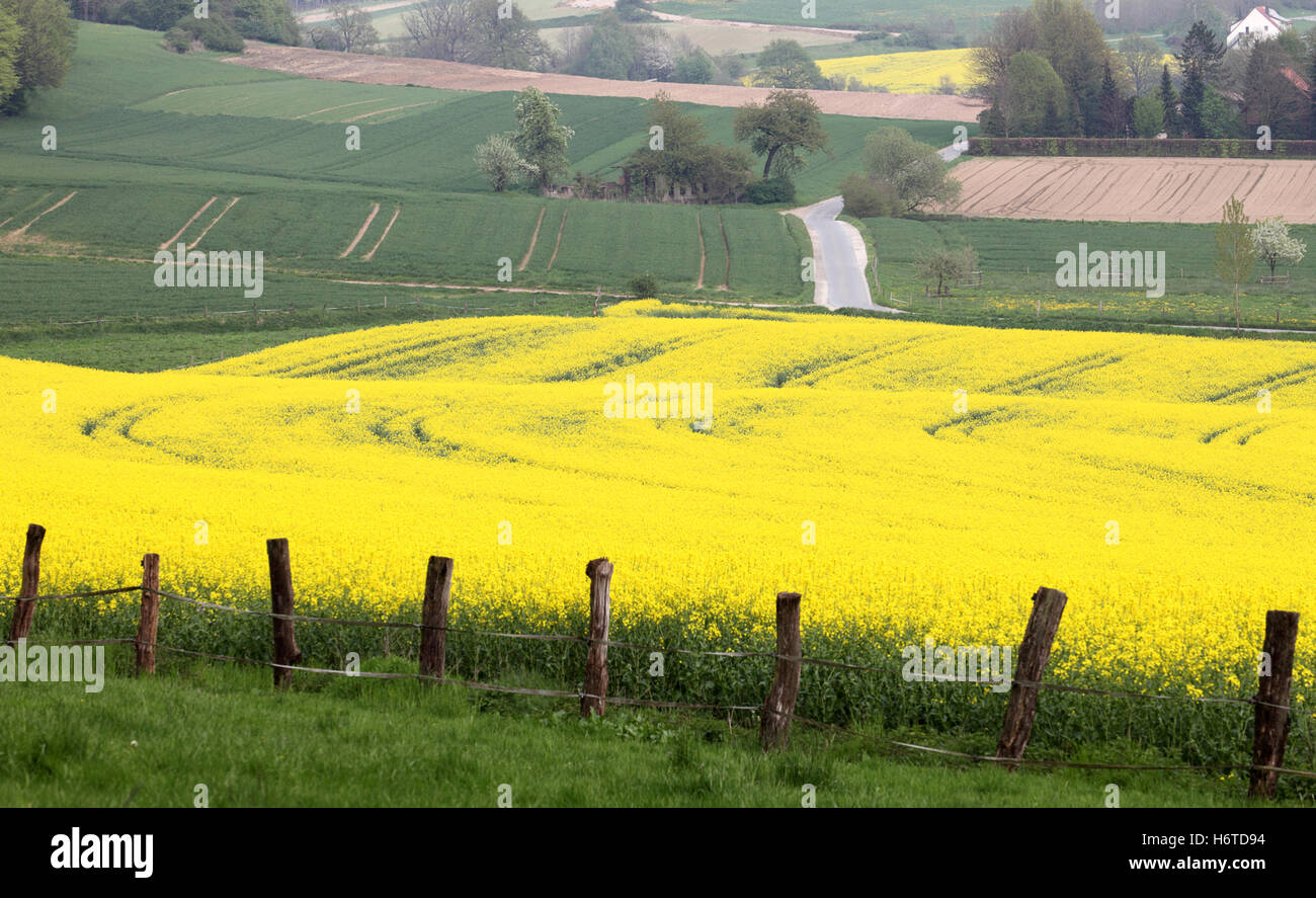 Countryside landscapes hi-res stock photography and images - Alamy