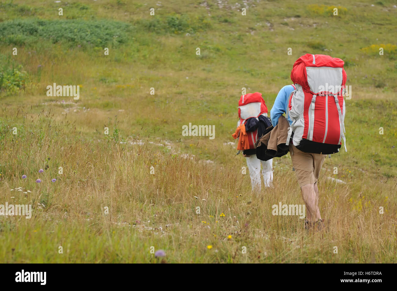 blue humans human beings people folk persons human human being danger ...