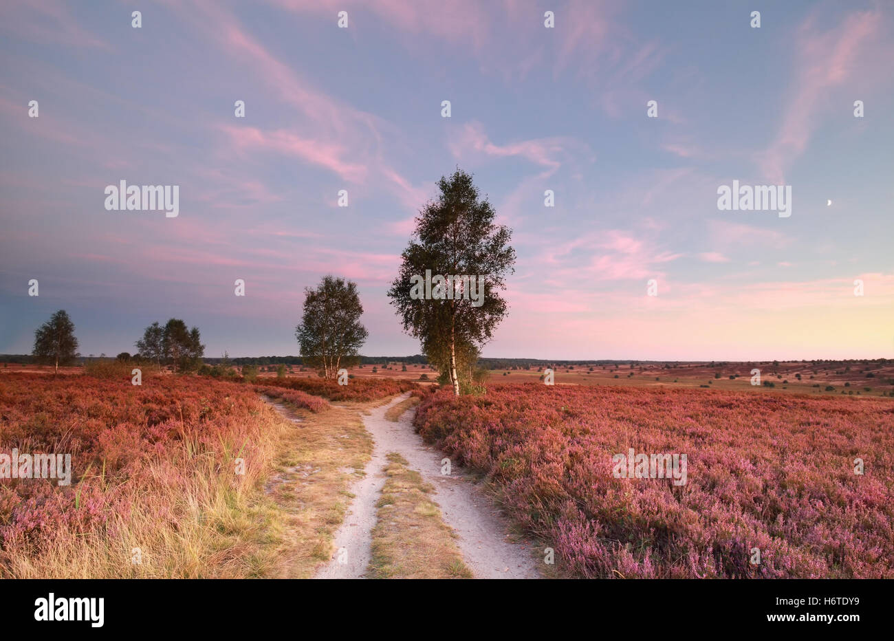 Split path hi-res stock photography and images - Alamy