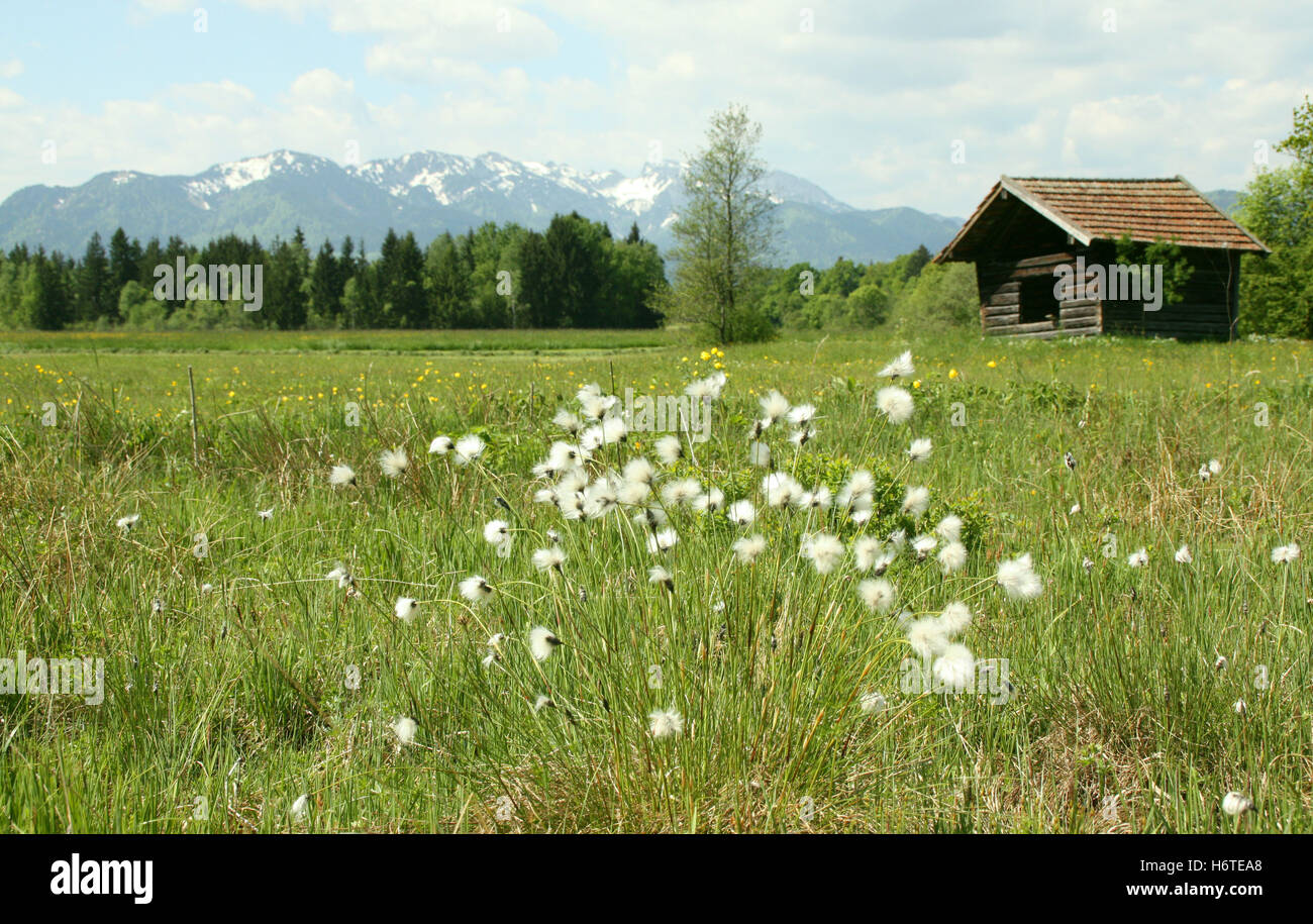 Landscapes bucolic hi-res stock photography and images - Alamy
