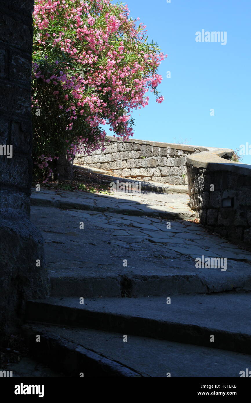 Path, walkway, coast, coastal, nature, travel, landscape, ocean, beach ...