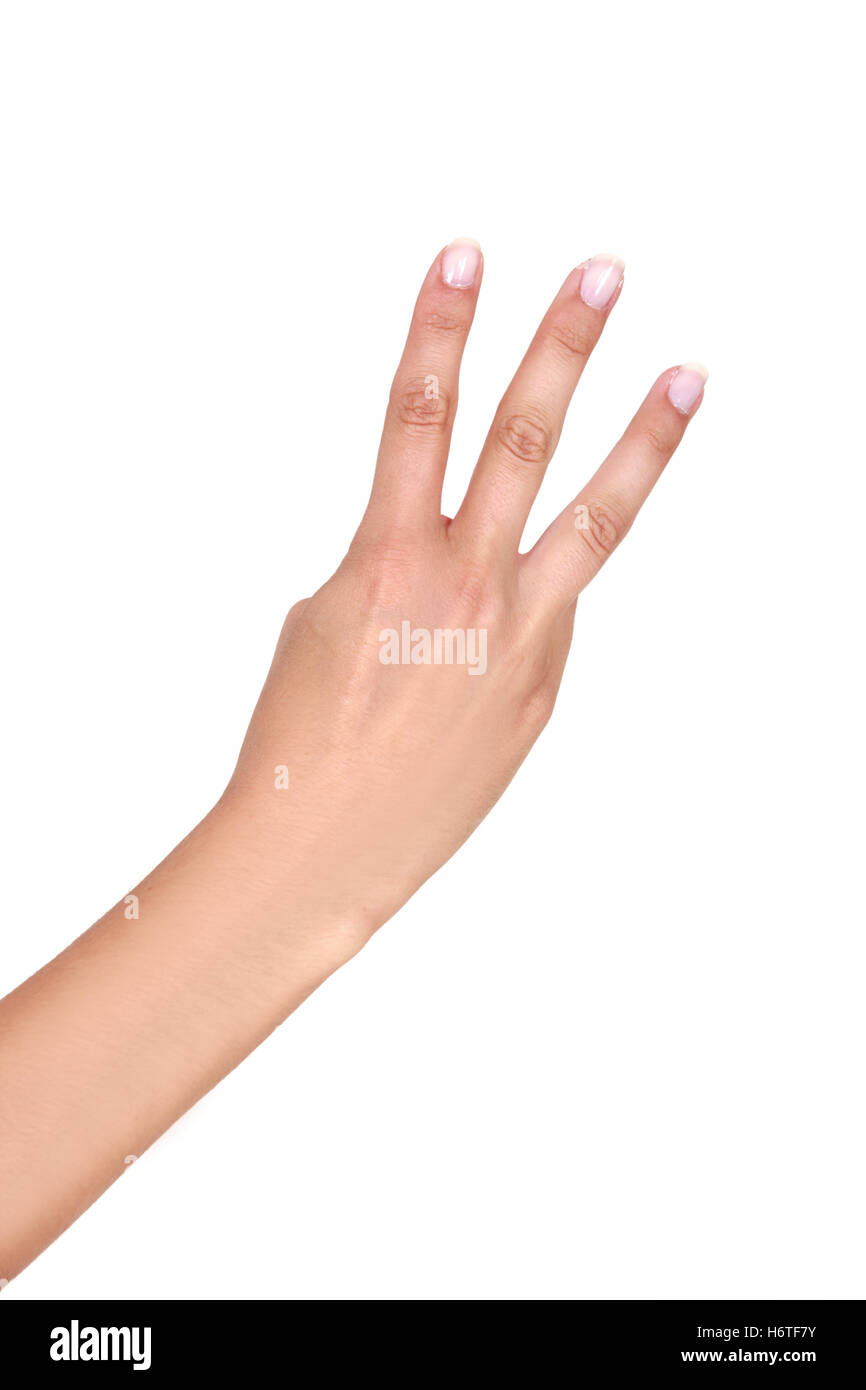 Bones Of The Hand Blank