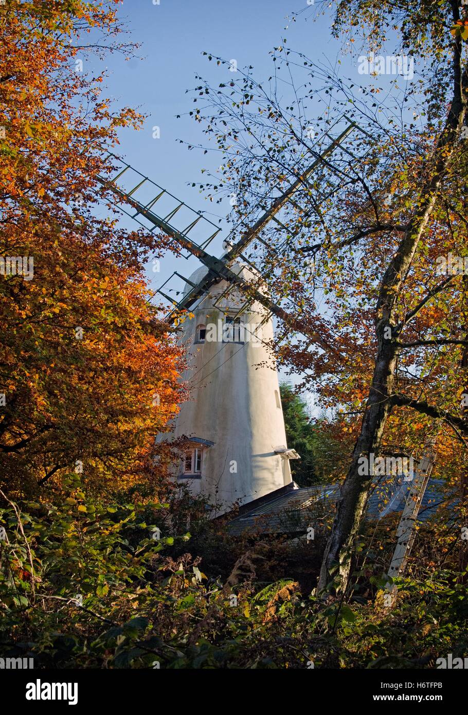 Ewhurst High Resolution Stock Photography and Images - Alamy