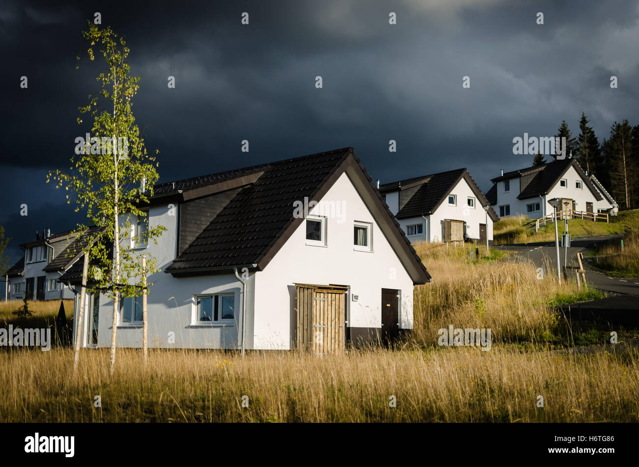 thunderstorm, thundreous, financial crisis, storm, gale, wind, rain ...