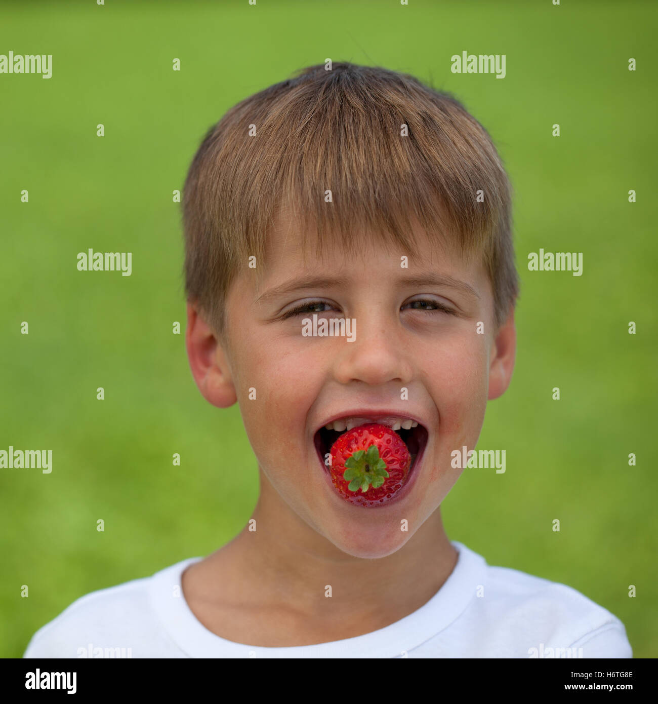 little boy eating a strawberry Stock Photo - Alamy