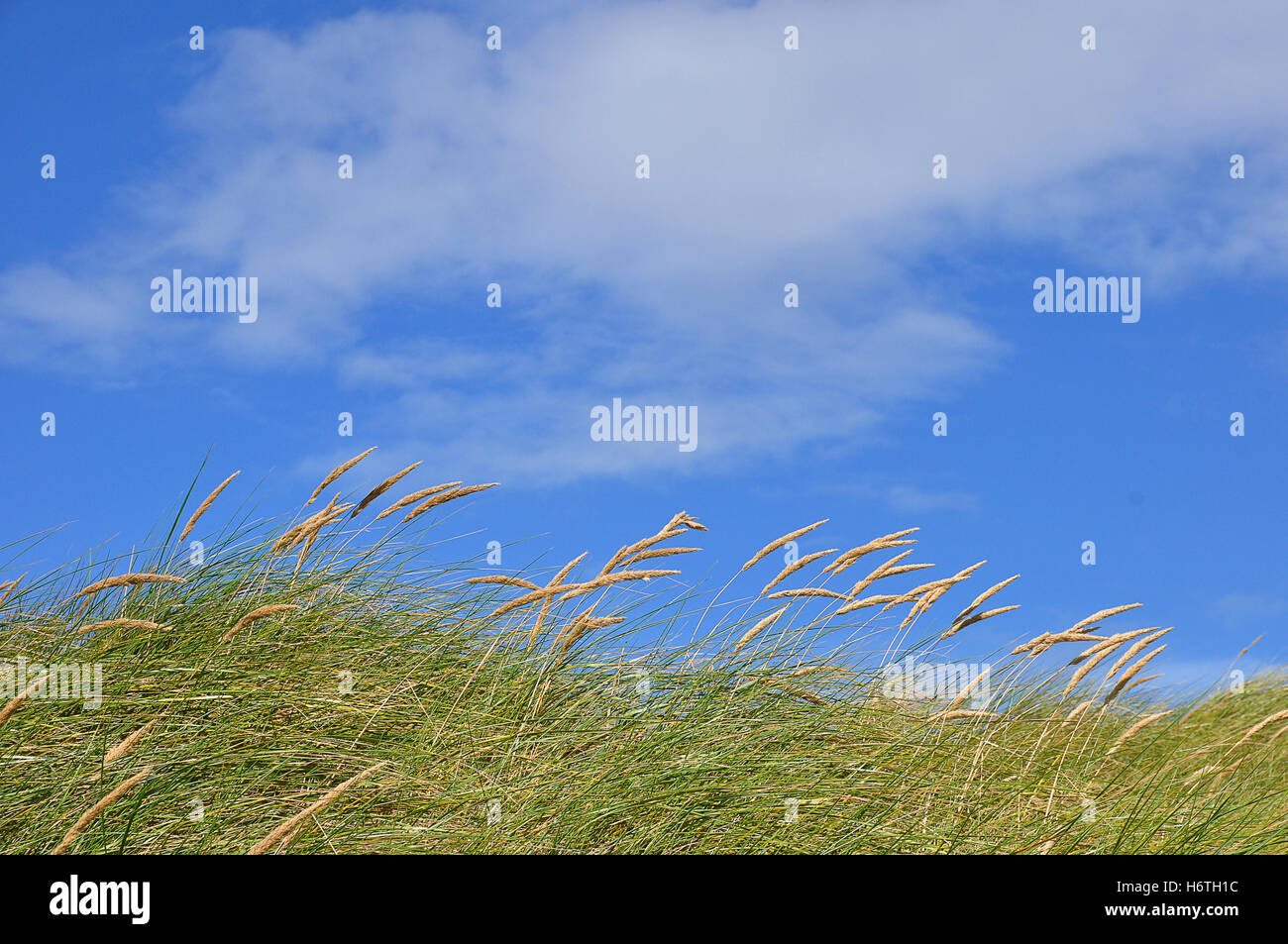 Conservation nature water north hi-res stock photography and images - Alamy