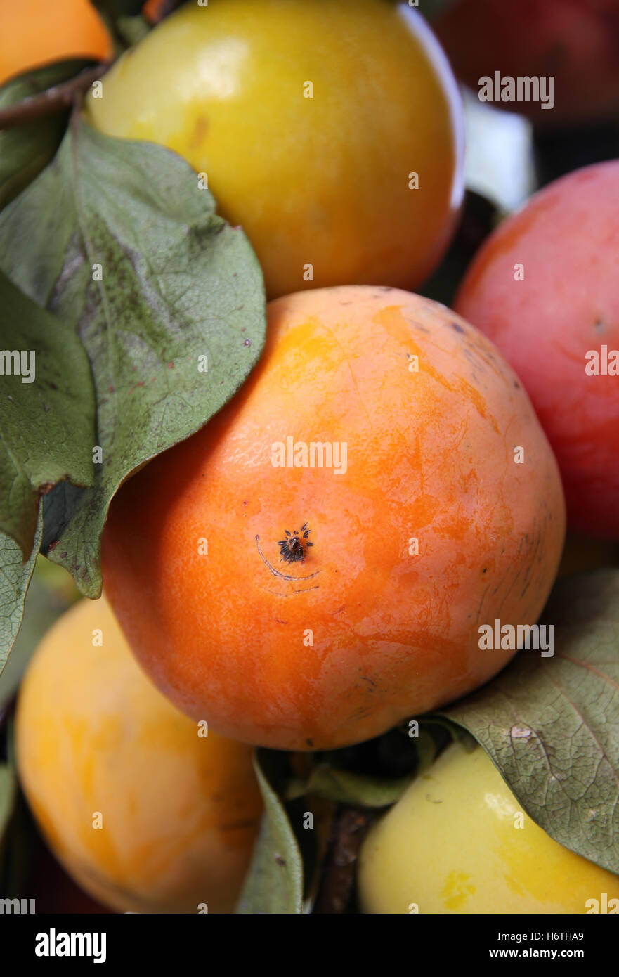 Sharon fruit hi-res stock photography and images - Alamy