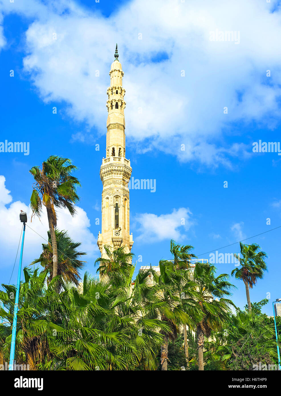 The high stone minaret of the Al Qaed Ibrahim mosque behind the lush ...