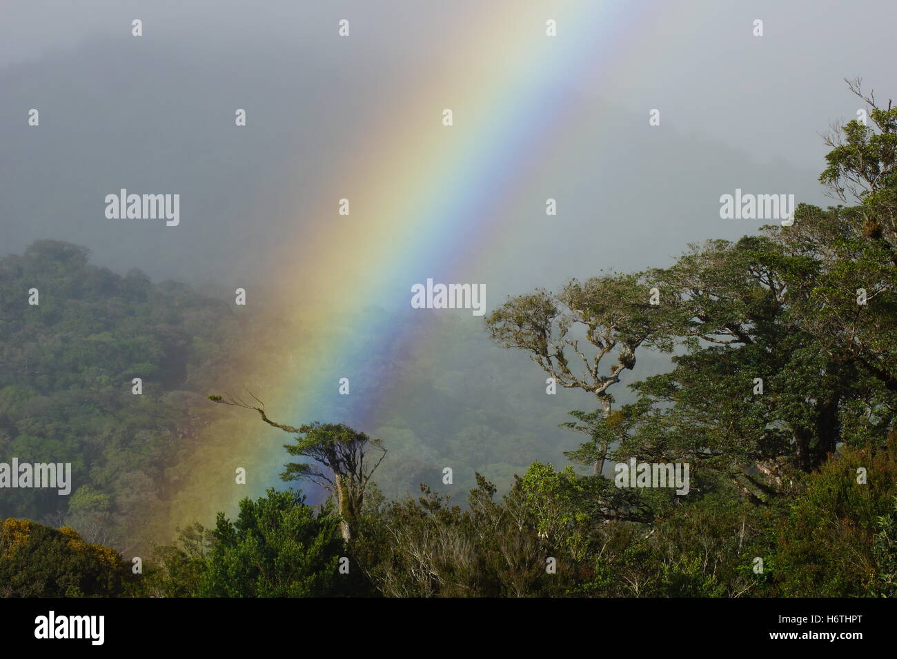 Rainbow in the mountains. Costa Rica, Province Puntarenas, Monteverde ...