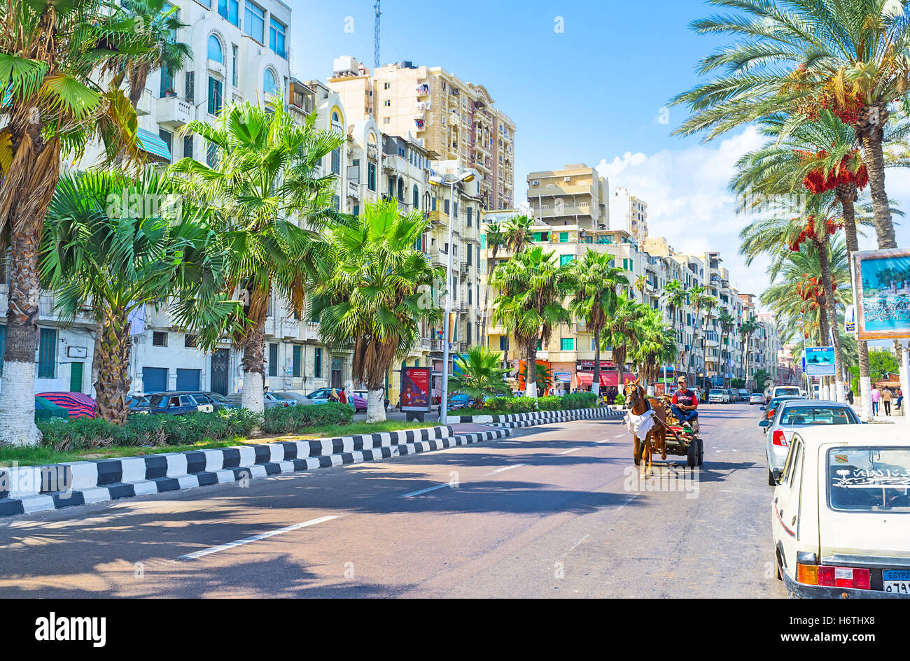 The main city promenade with the numerous green palms Stock Photo - Alamy