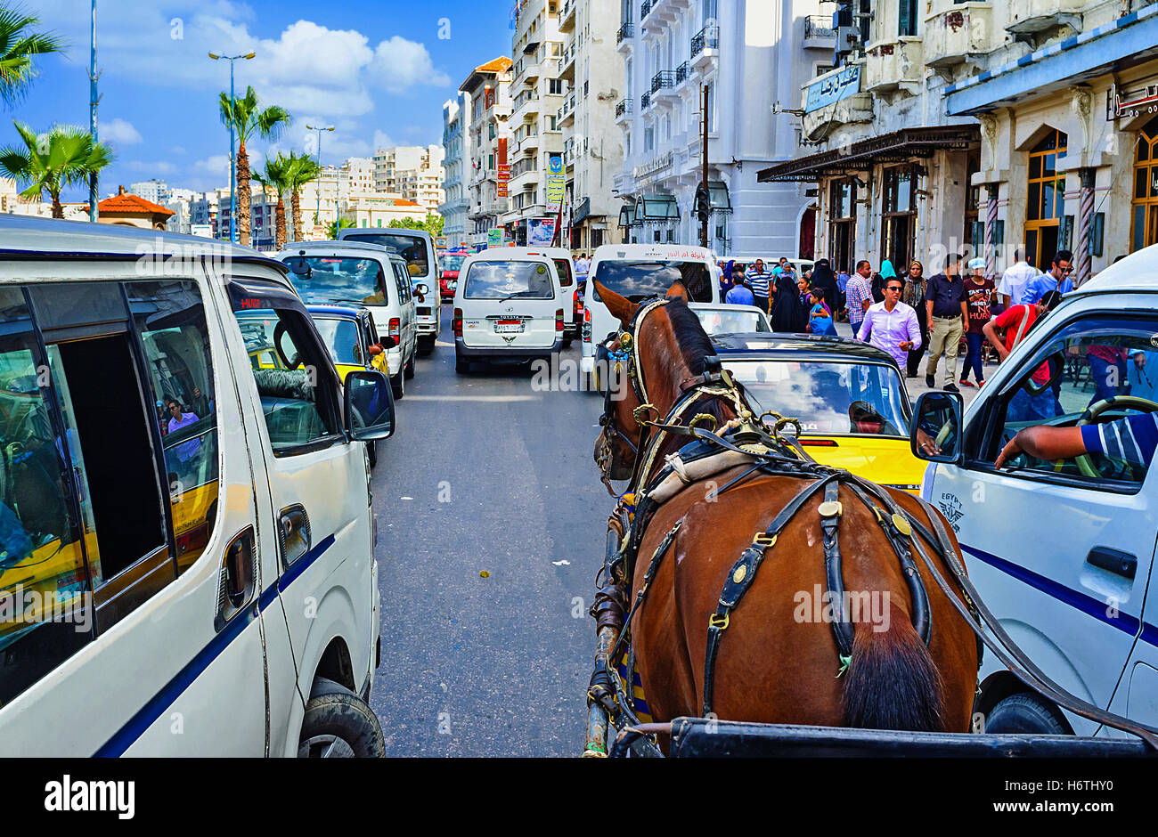 The traffic jam at the city promenade with numerous taxi buses and ...