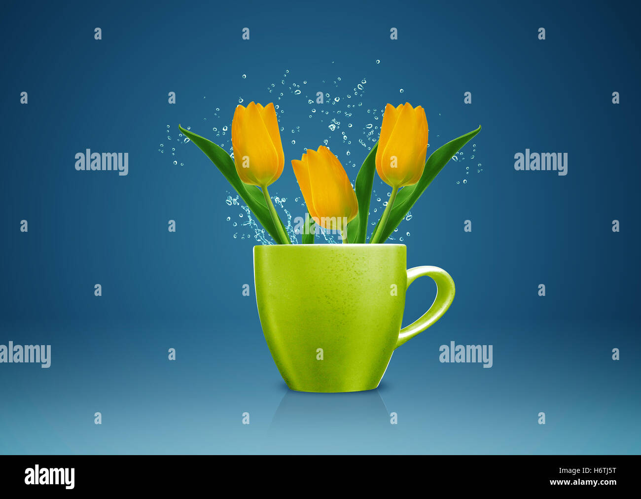 Point plan hi-res stock photography and images - Alamy