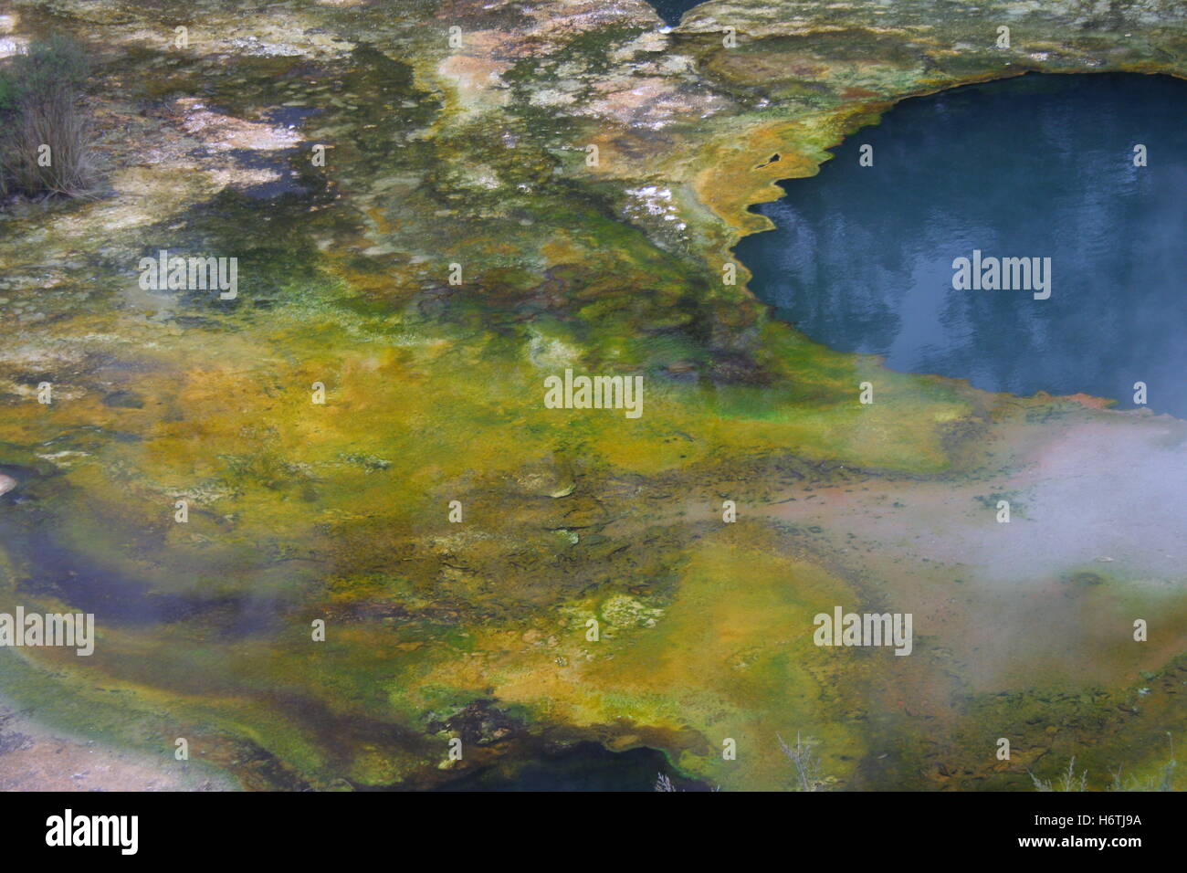 Color palette / Geyser Stock Photo - Alamy