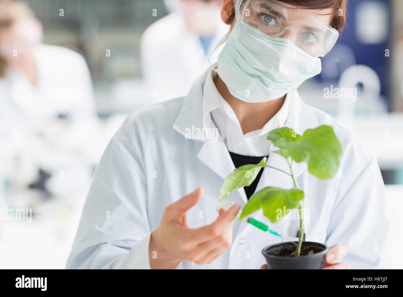 Woman holding a plant while adding green liquid to soil with syringe ...