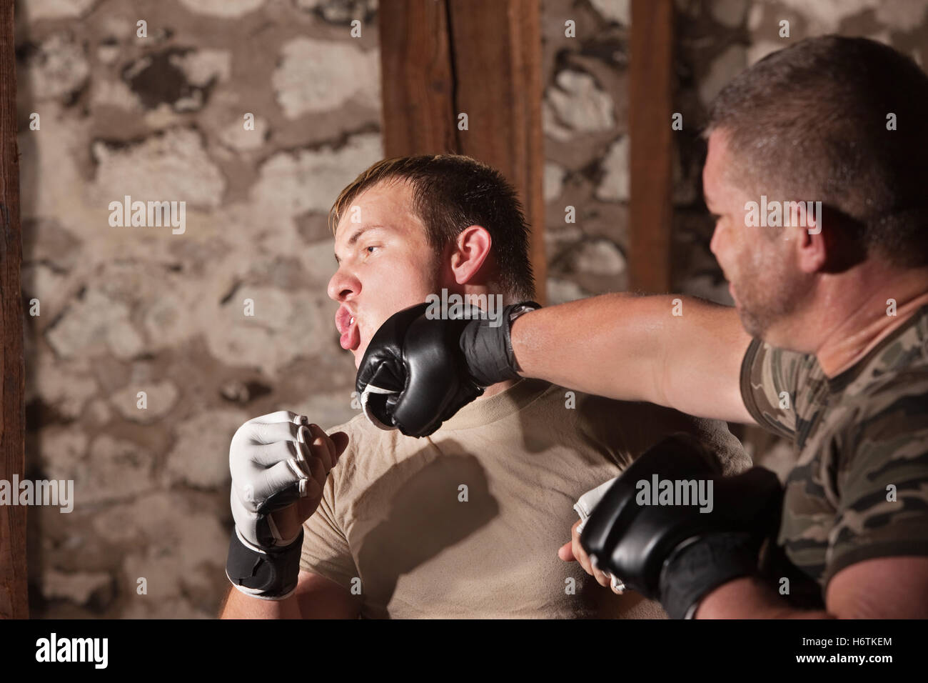 guy, hit, fight, fighting, strong, male, masculine, blank, european ...