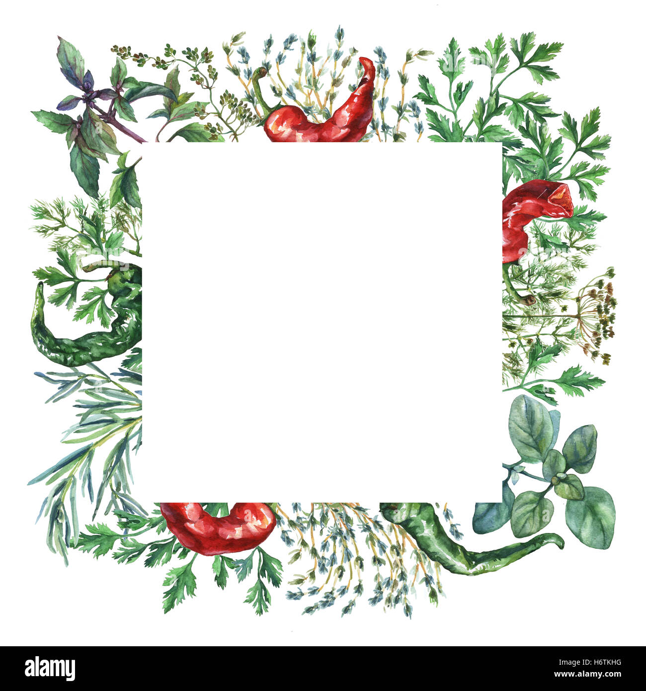 Watercolor herbs and spices frame. Square frame with hand painted food ...