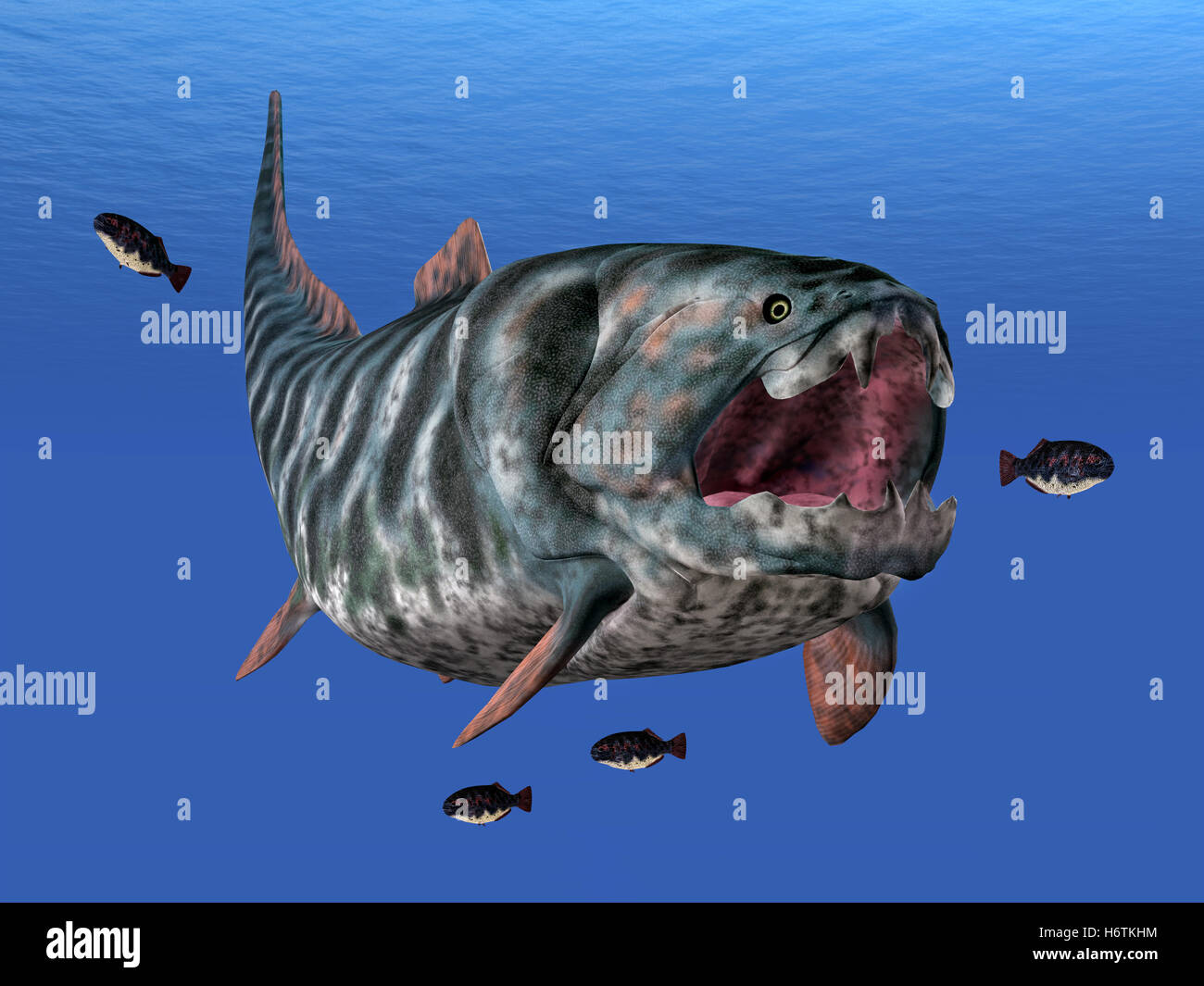 angle, fish, fisherman, pisces, big, large, enormous, extreme, powerful ...