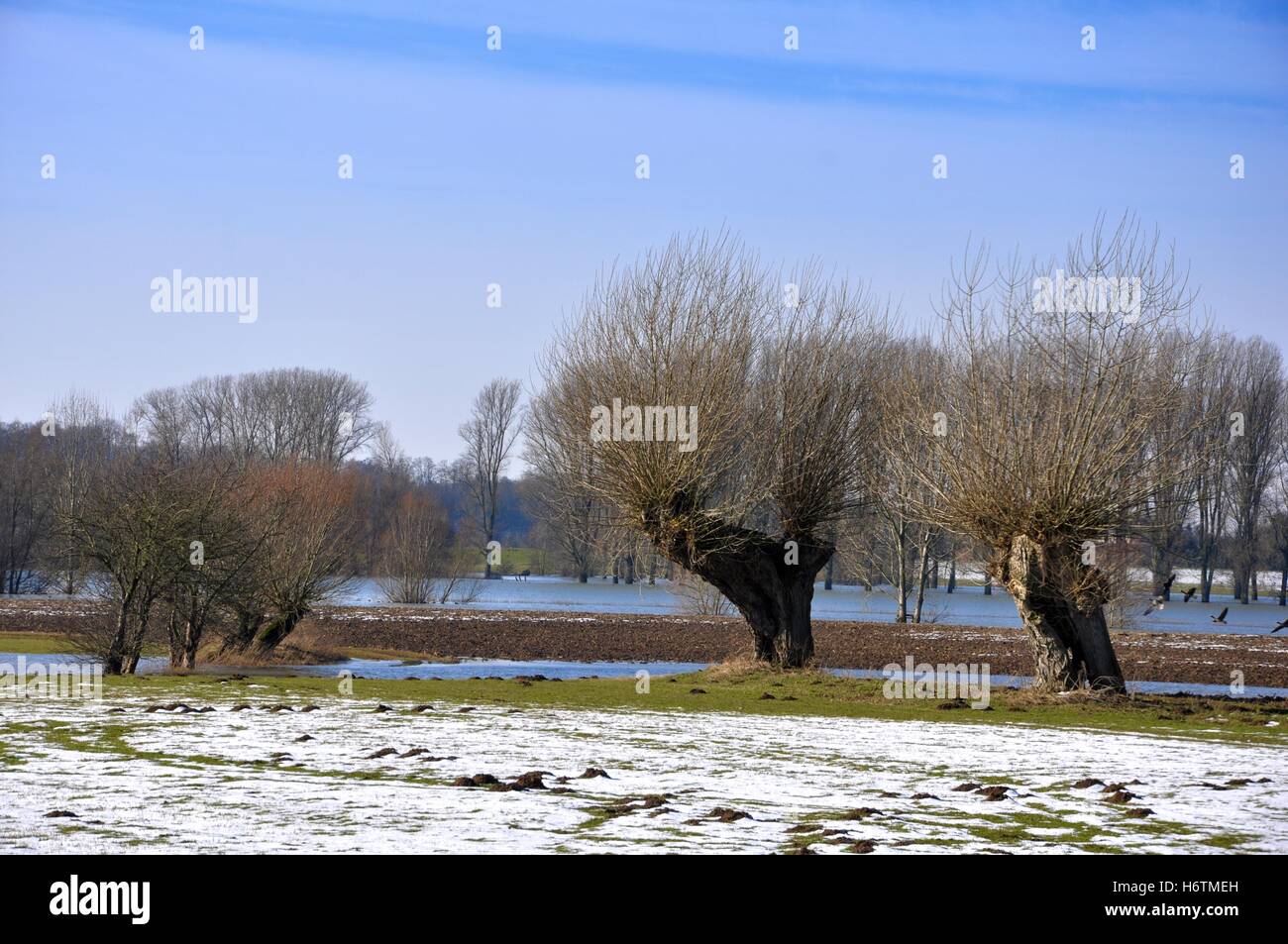 Niederrhein hi-res stock photography and images - Alamy