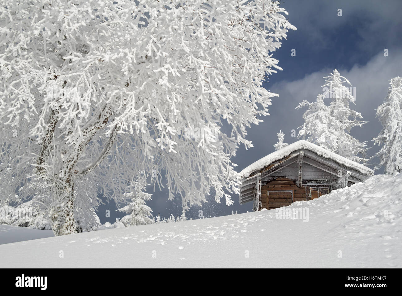 snowy wooden hut Stock Photo - Alamy