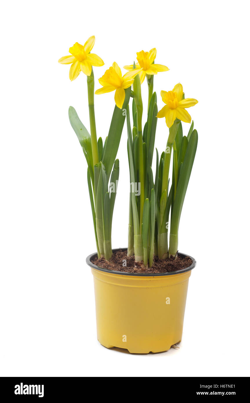 Nice objects hi-res stock photography and images - Alamy