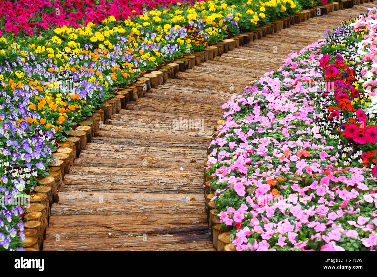 travel environment enviroment park garden stone flower plant wood bloom ...