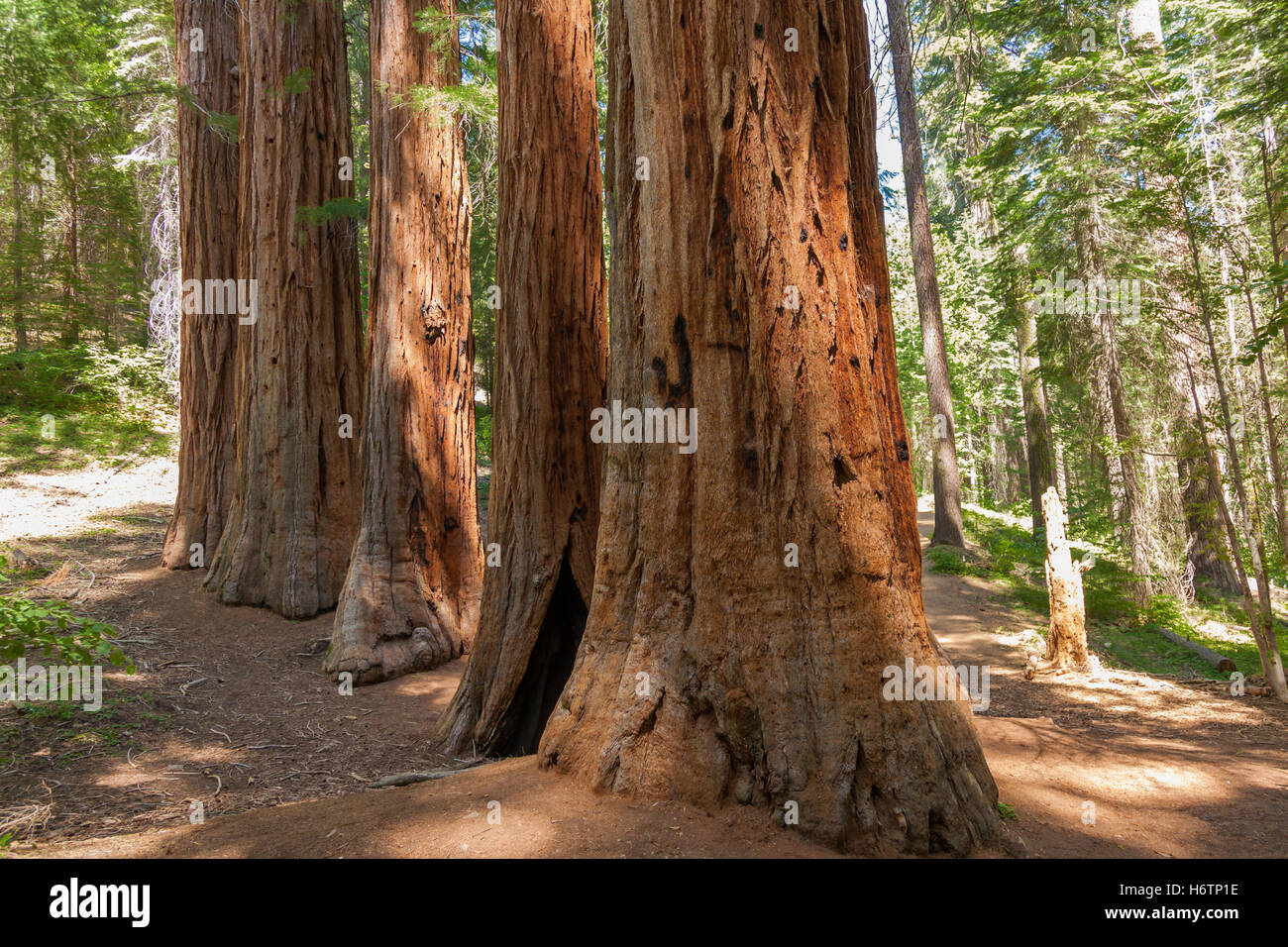 travel big large enormous extreme powerful imposing immense relevant ...