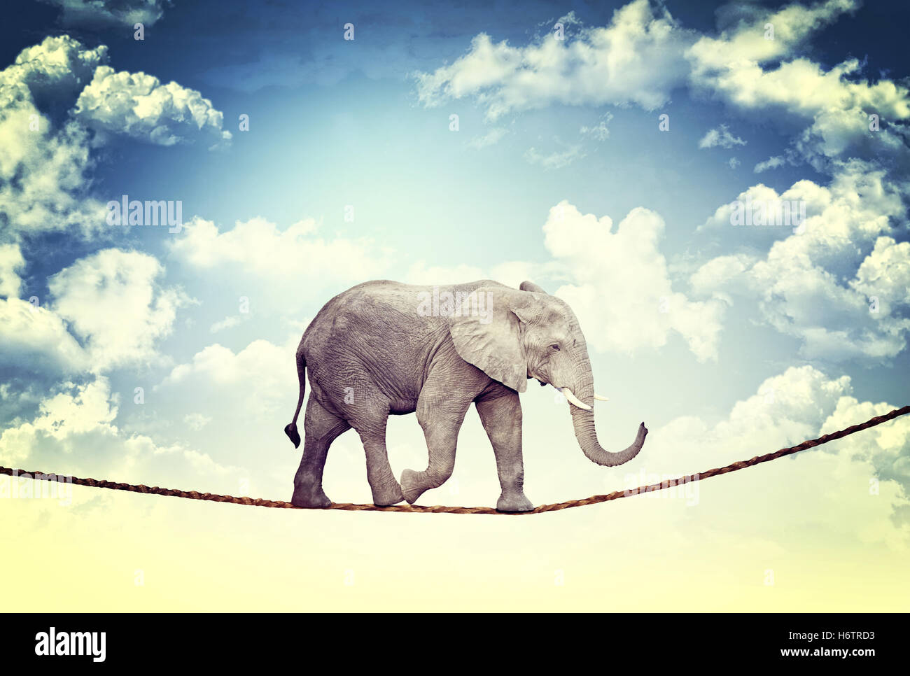 Design mammals hi-res stock photography and images - Alamy