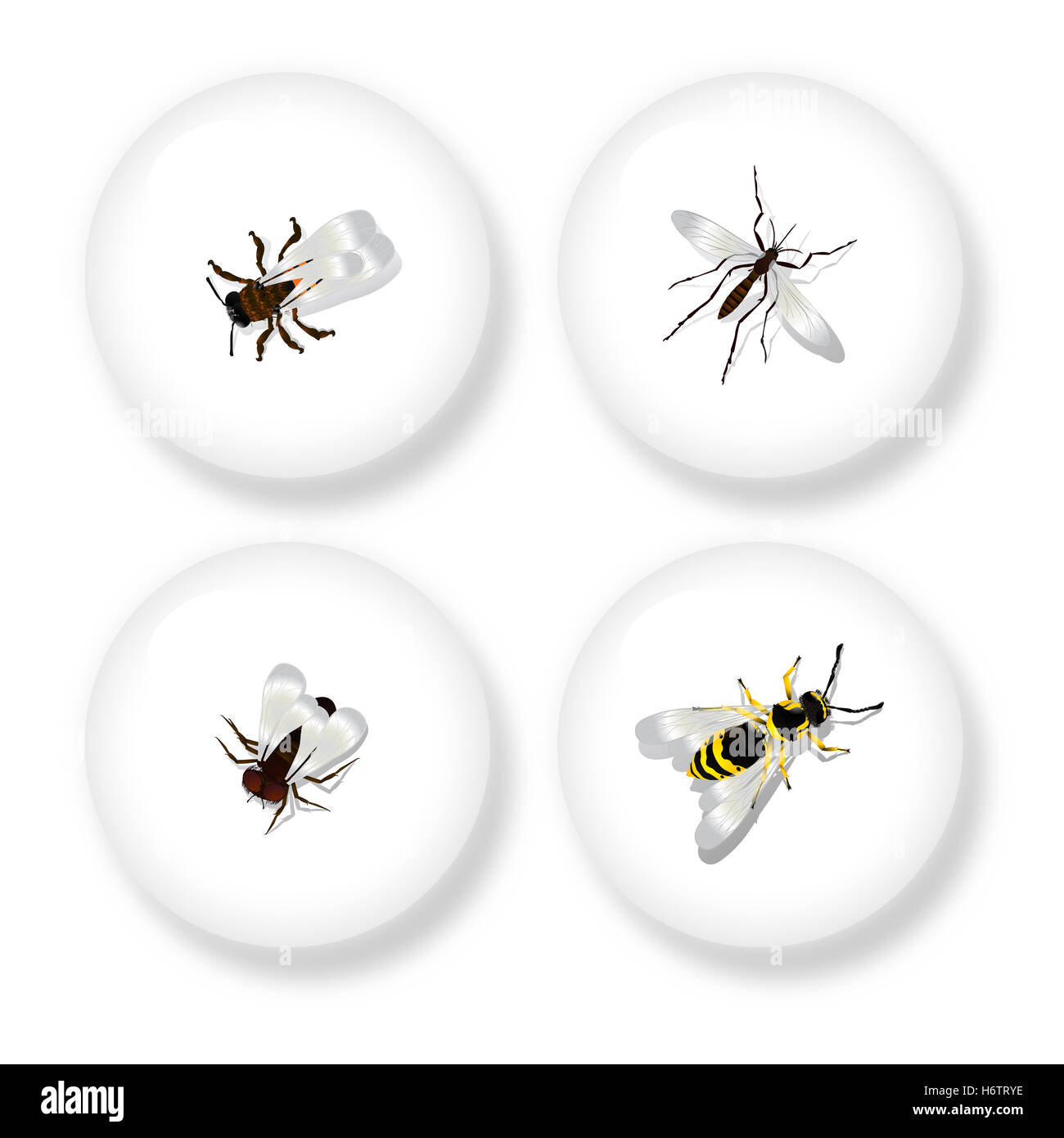 Editable graphic hi-res stock photography and images - Alamy