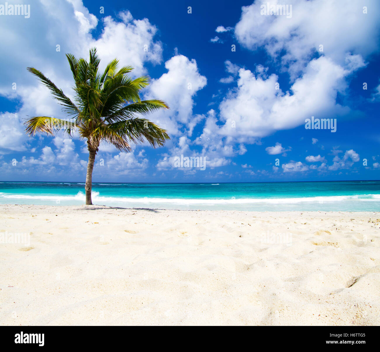 Sunlight sunny tourism travel tree tropical vacation water hi-res stock ...