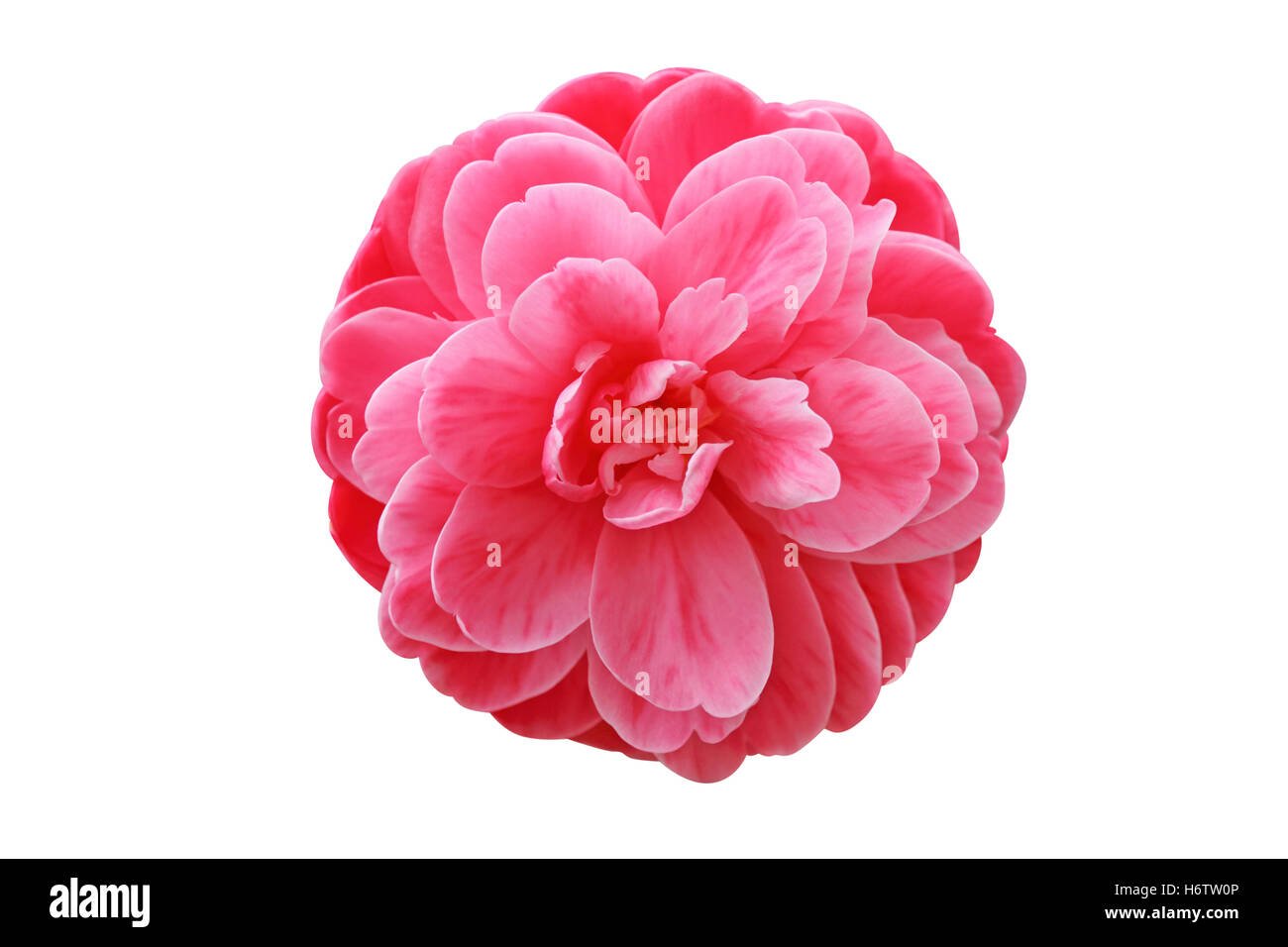 Nice objects hi-res stock photography and images - Alamy