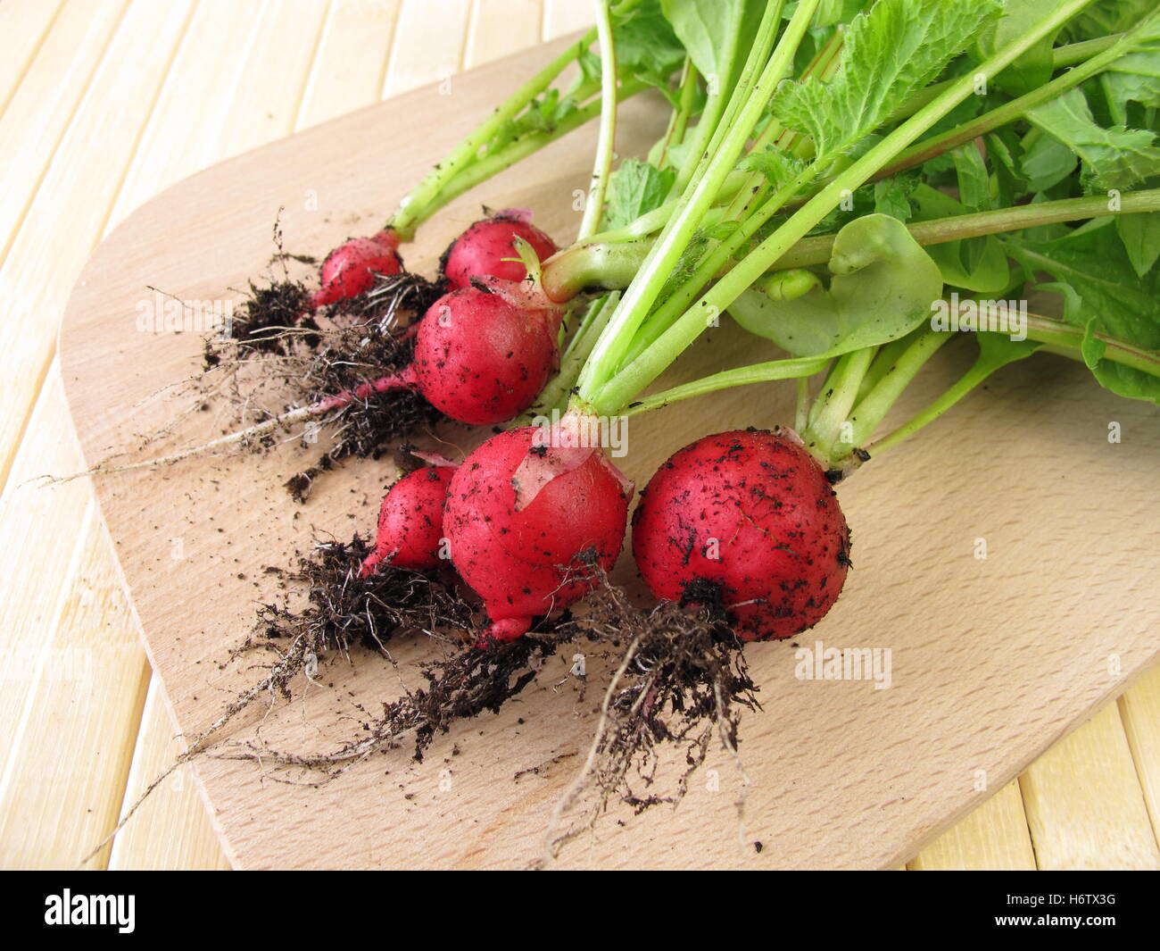 Root fruits hi-res stock photography and images - Alamy