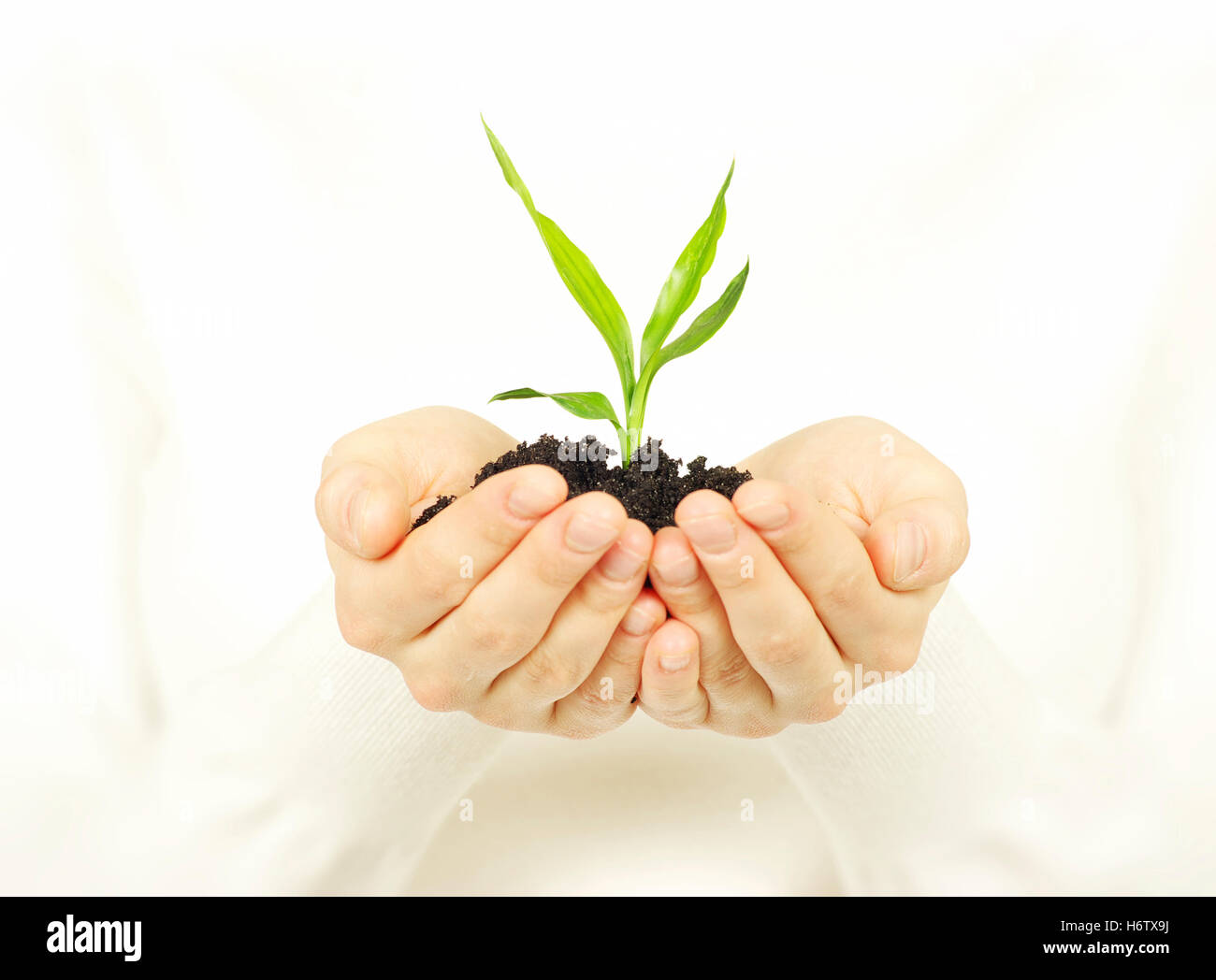 Human life development hi-res stock photography and images - Alamy