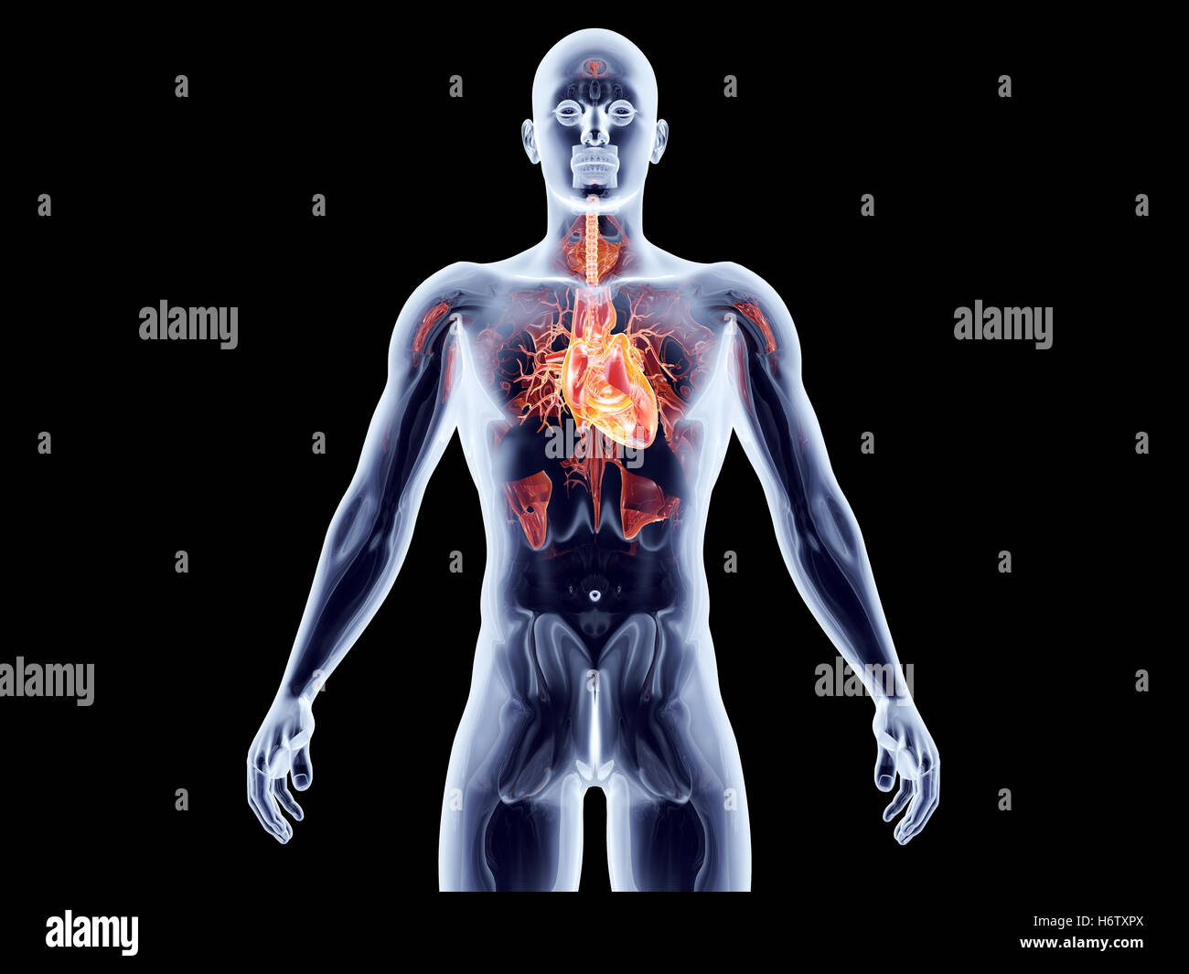 Human existence hi-res stock photography and images - Alamy