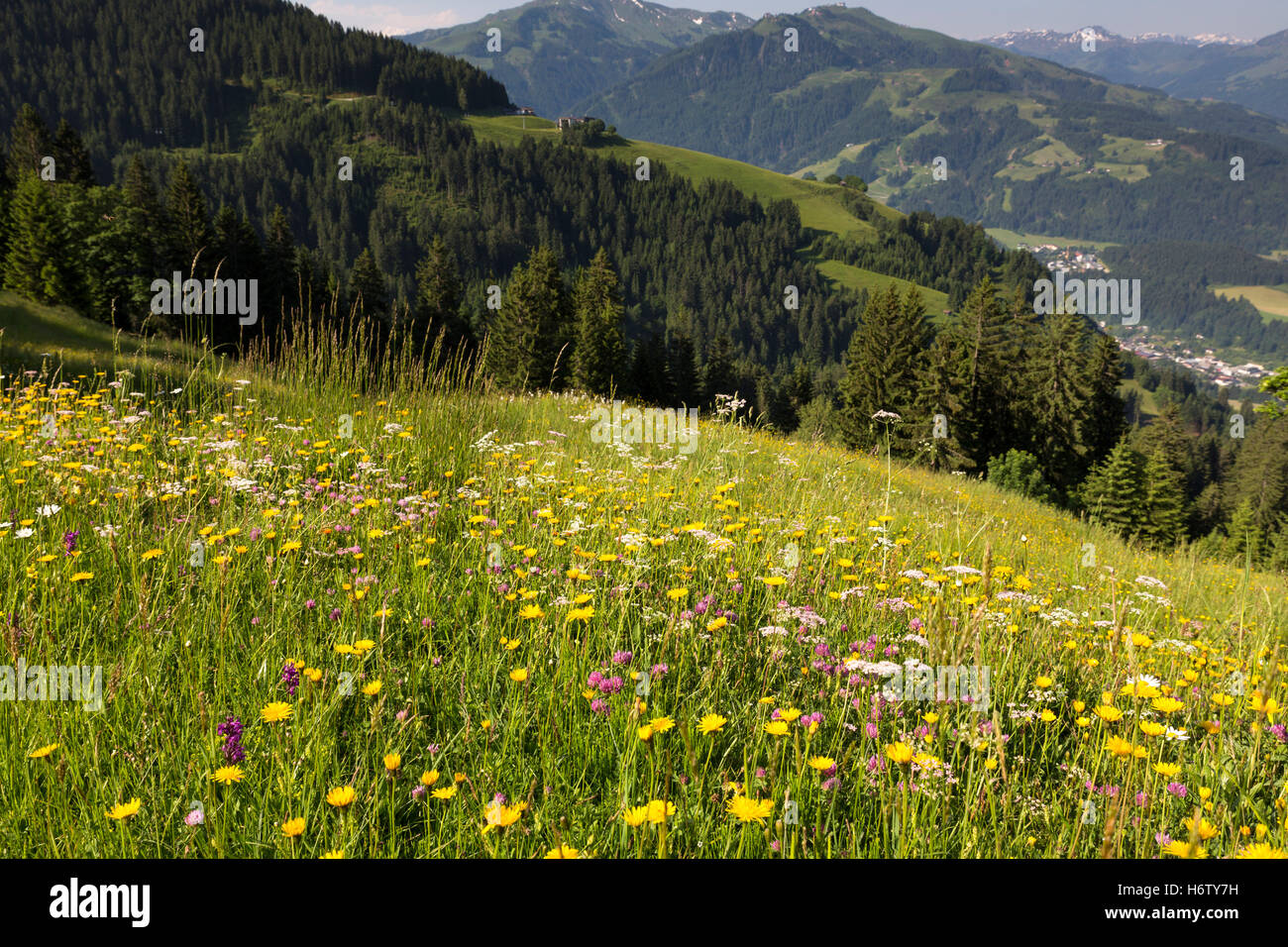 Grow mountains hi-res stock photography and images - Alamy