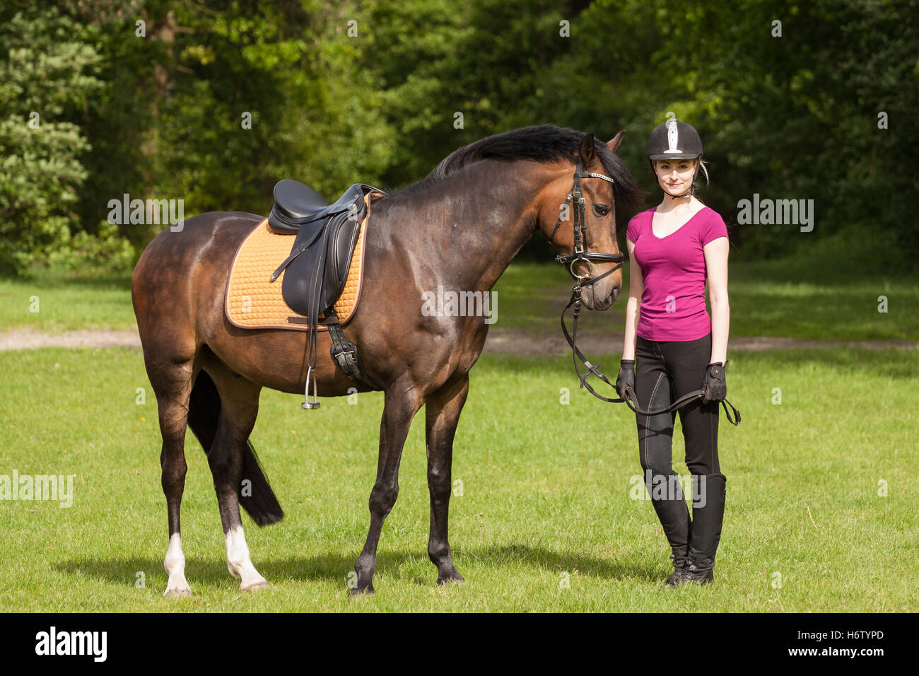 Equitation hi-res stock photography and images - Alamy